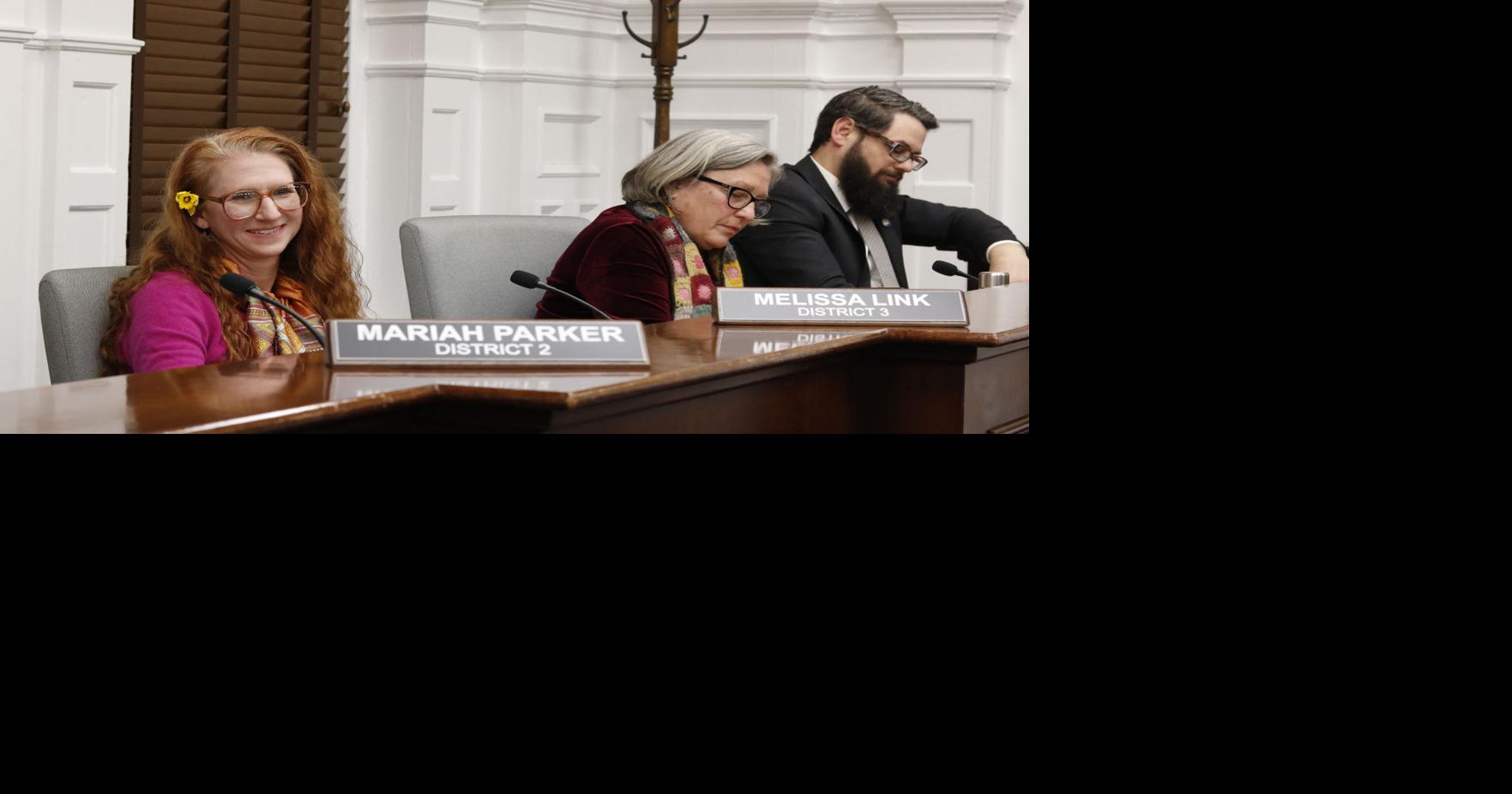 Melissa Link gana elección especial para comisionada del Distrito 2 ...