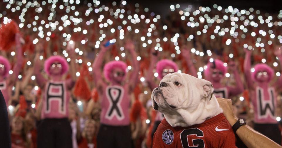 Uga X dies at 10 years old | Georgia Sports | redandblack.com