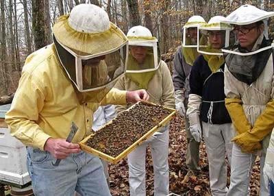 Bee happy: UGA alum finds sweet success | Variety | redandblack.com