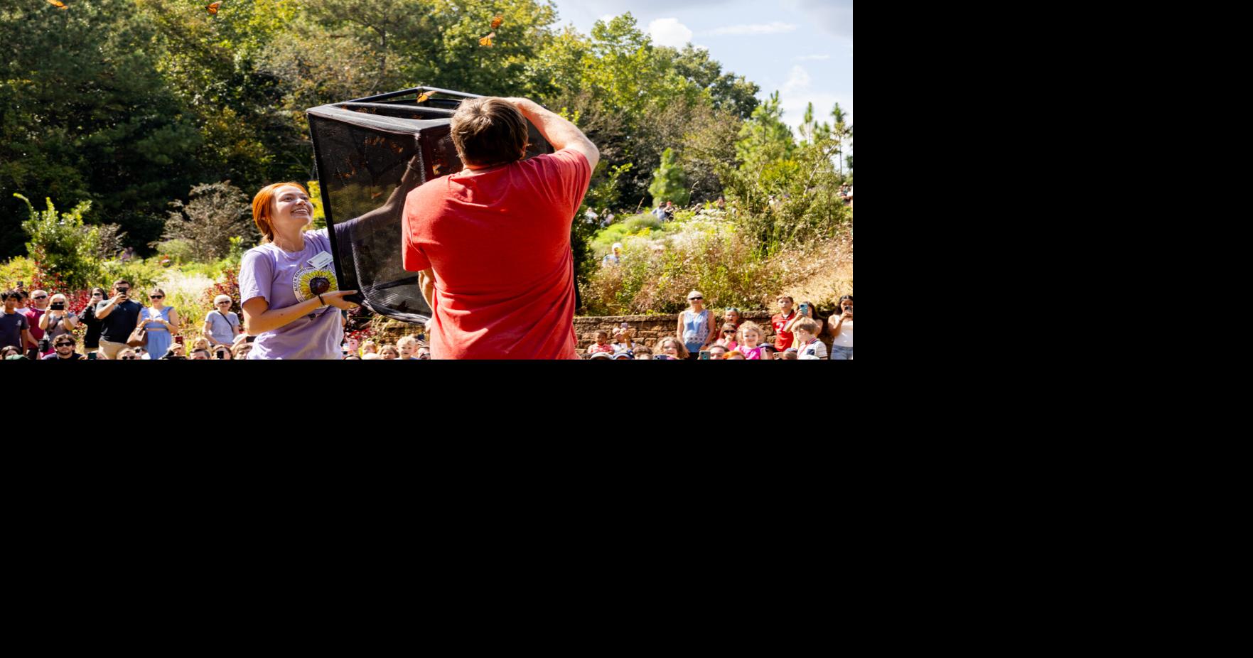 Families celebrate bugs, butterflies at State Botanical Garden’s 35th ...