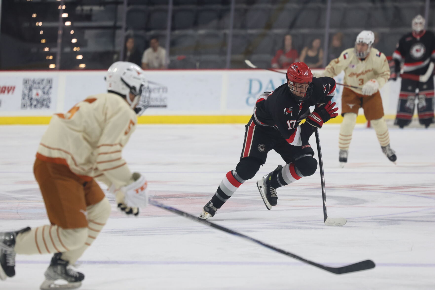 PHOTOS: UGA Ice Dawgs vs. Texas | Multimedia | redandblack.com