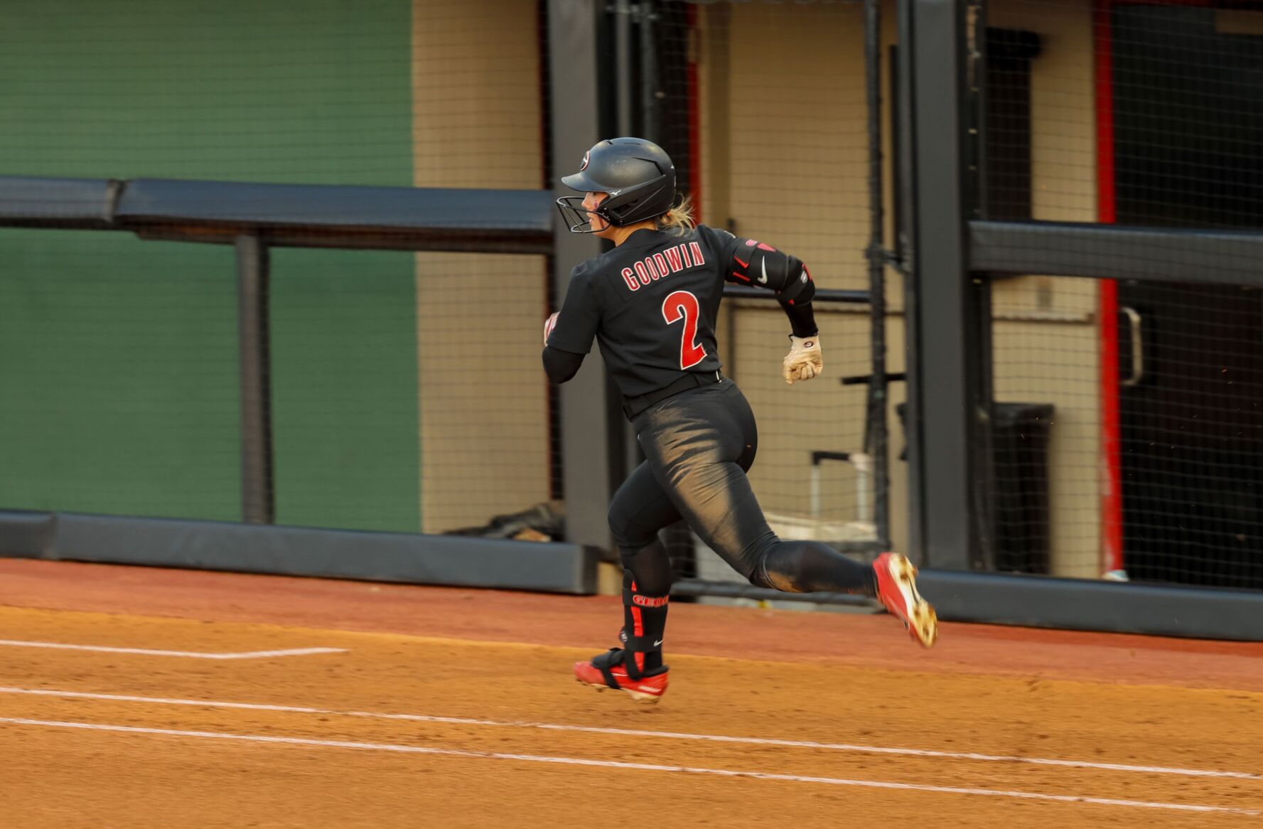 PHOTOS: UGA Softball vs. Georgia Gwinnett | Multimedia | redandblack.com