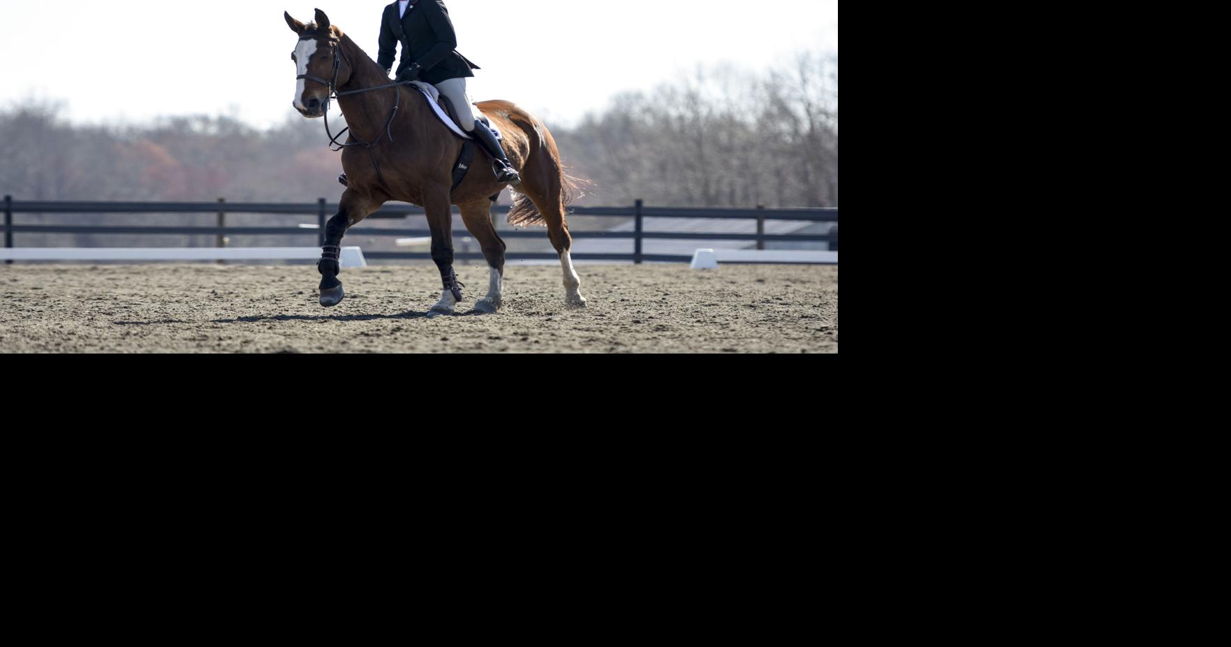 Looking back at Georgia equestrian's fall portion of the season ...