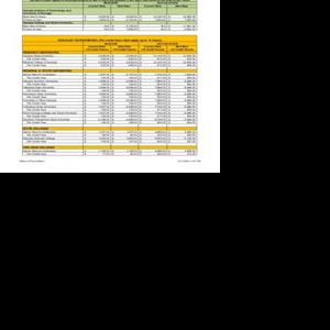 UGA TUITION TO GO UP $500 A SEMESTER (w/documents) | News | redandblack.com