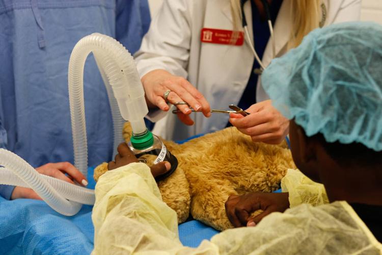 PHOTOS: Vet Med Open House | Multimedia | redandblack.com