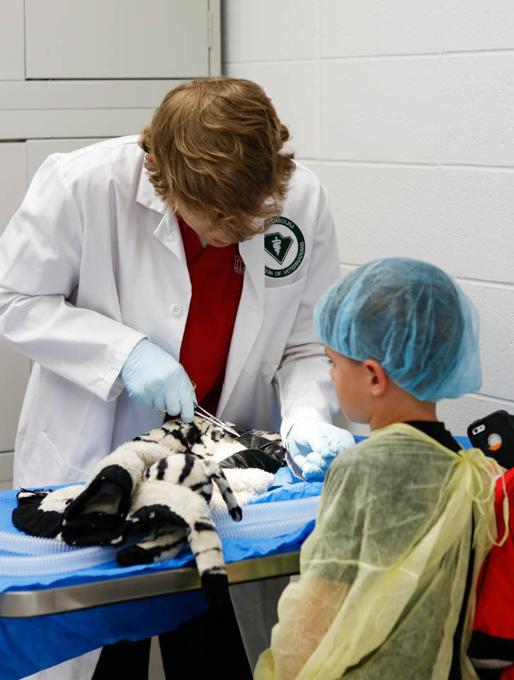 PHOTOS: Vet Med Open House | Multimedia | redandblack.com