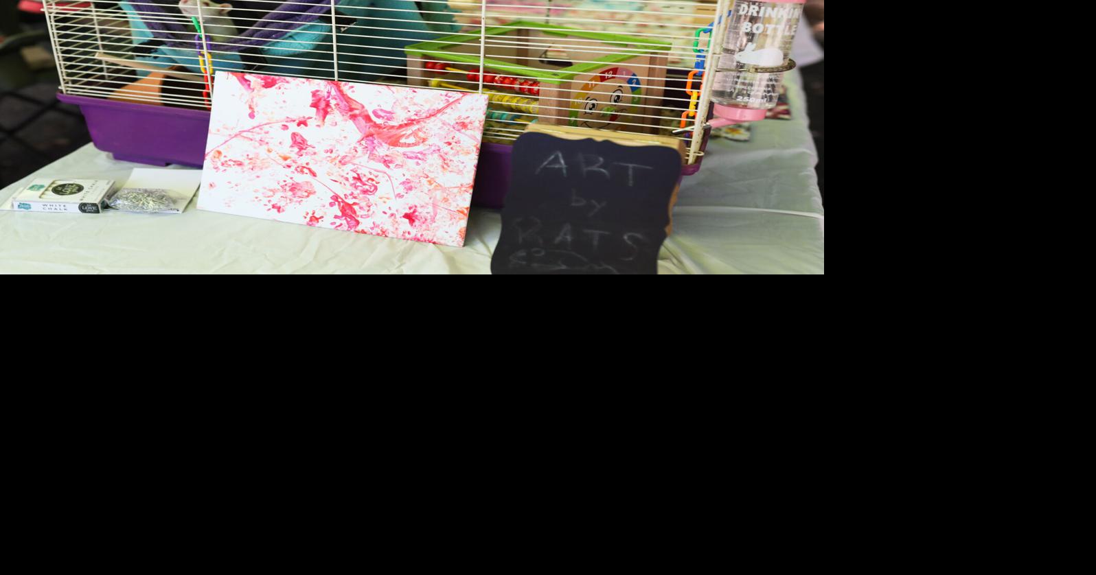 Porchfest's first annual artist market features potters, jewelers, rats ...