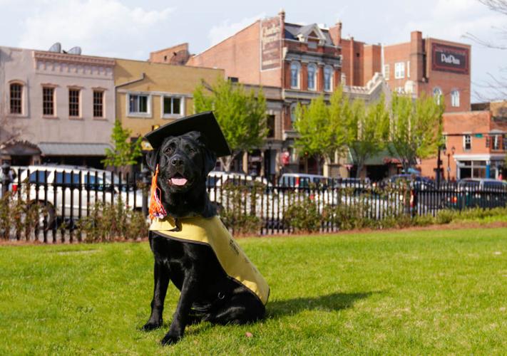 PHOTOS: Guide Dog Graduates | Multimedia | redandblack.com