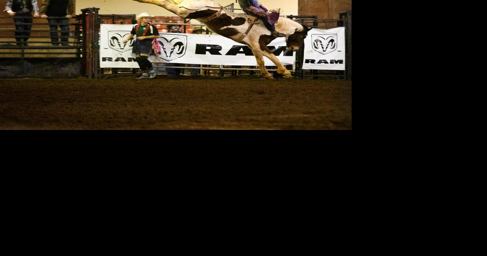 Athens weekend preview: Rodeo, Nowruz, laser show and zoo day | Arts ...