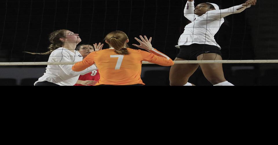 Georgia volleyball excited to continue to extend season in NIVC ...