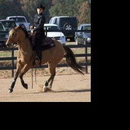 UGA Equestrian focused on returning to elite ranks | Georgia Sports ...
