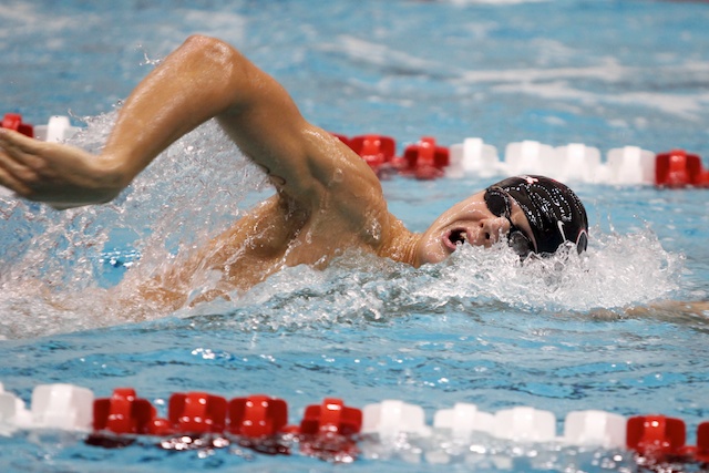 Georgia Swim and Dive vs. Kentucky | Georgia Sports | redandblack.com