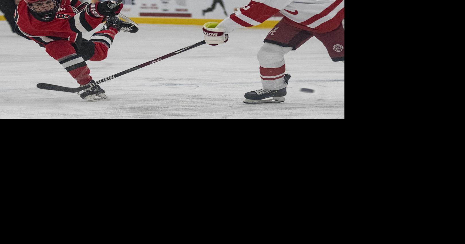 Georgia Ice Dawgs lose seventh game of season, fall to Alabama Frozen ...