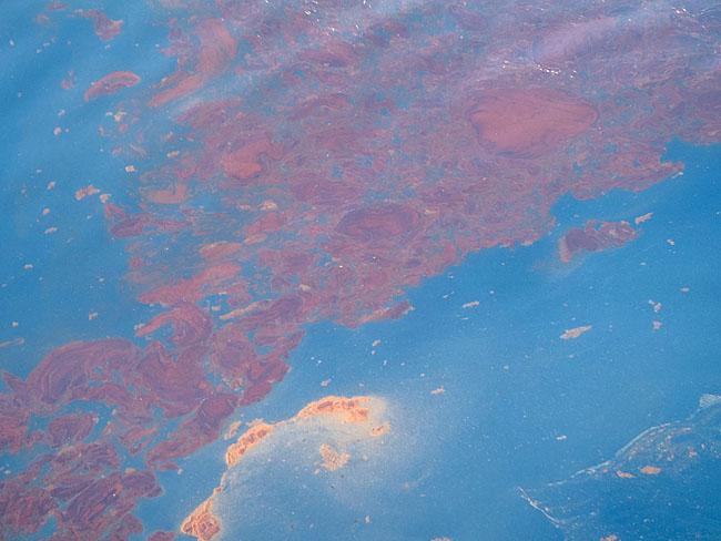 OIL UNWELL: Deep water oil plume examined by University team | News ...