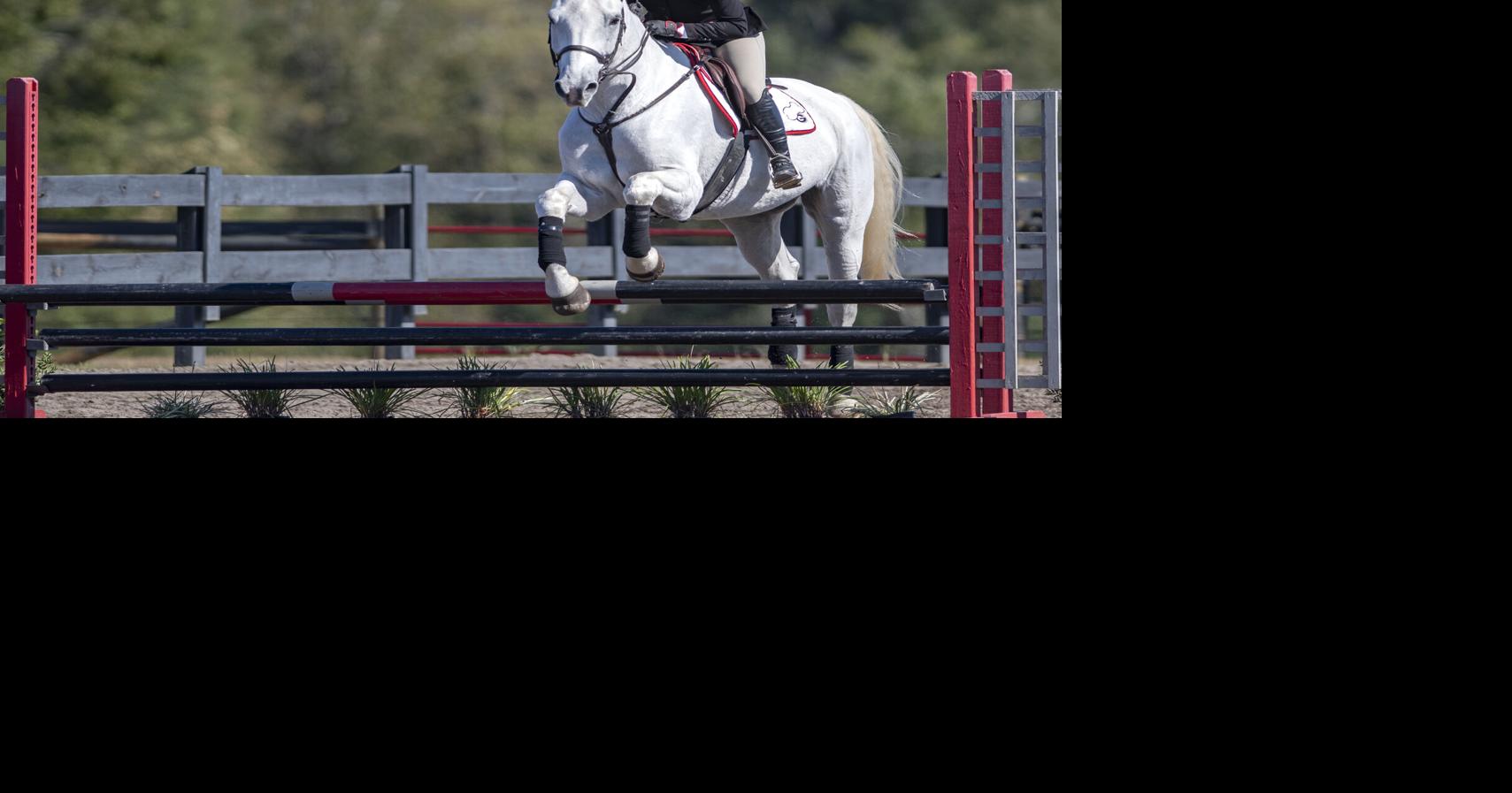 Georgia equestrian suffers second conference loss of the season ...