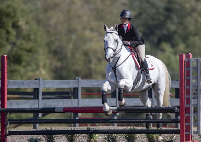 PHOTOS: Georgia equestrian beats Fresno State 16-3 | Multimedia ...