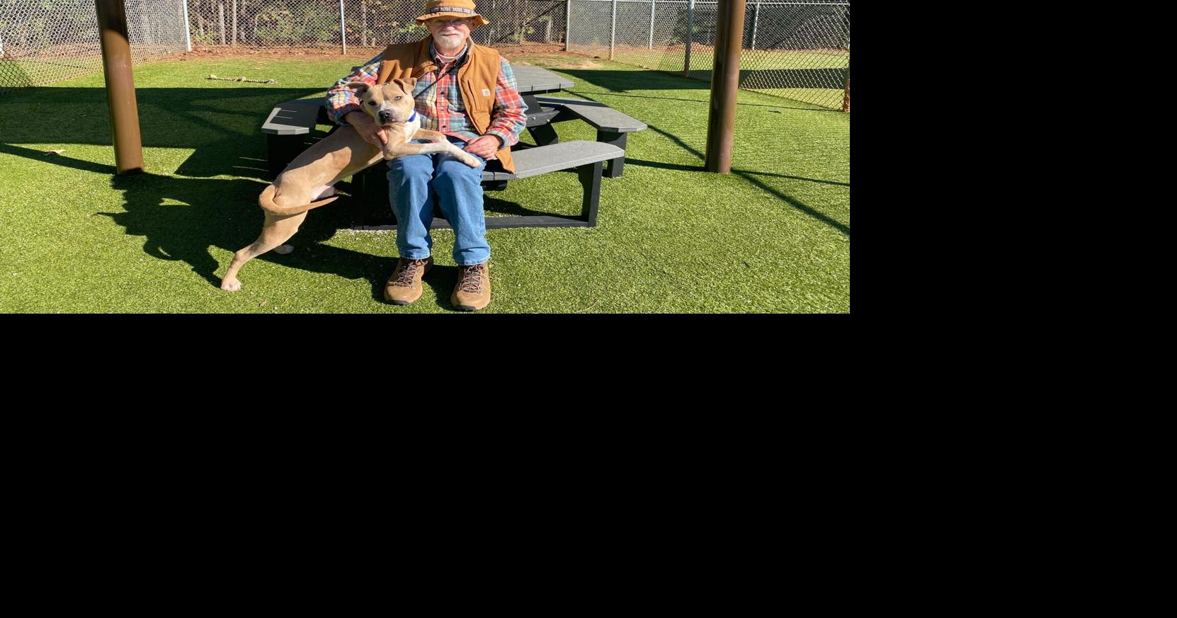 Get to know ACC Animal Services and long-time volunteer, Bill Dunston ...