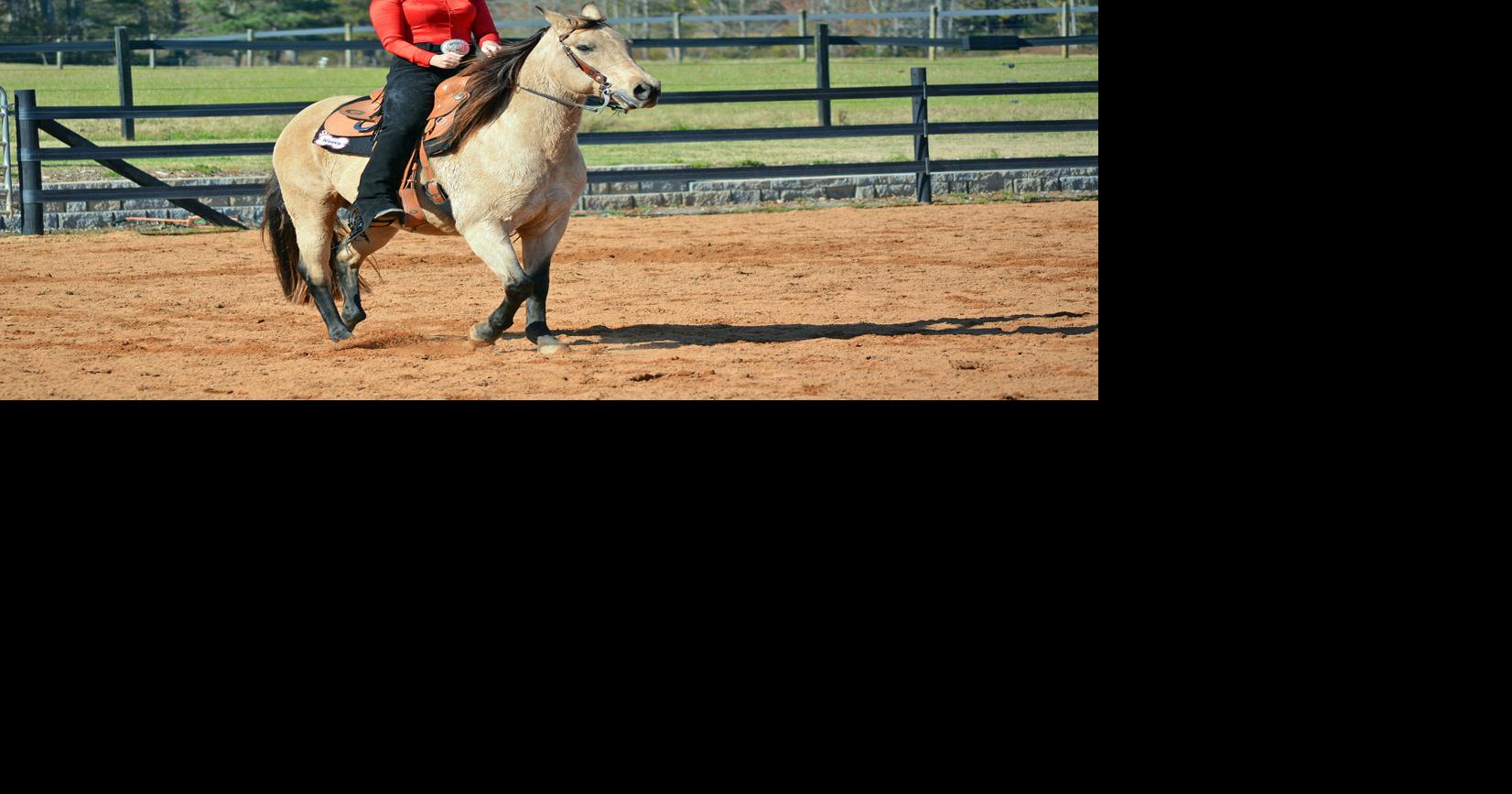 Georgia equestrian to conclude fall portion of season | Georgia Sports ...