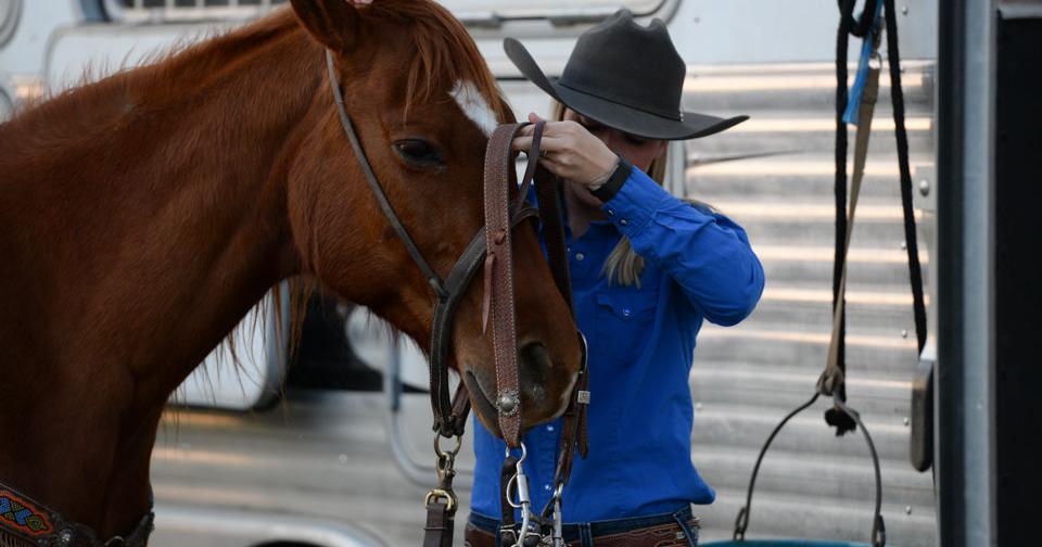 PHOTOS: Great Southland Stampede Rodeo celebrates second night of show ...
