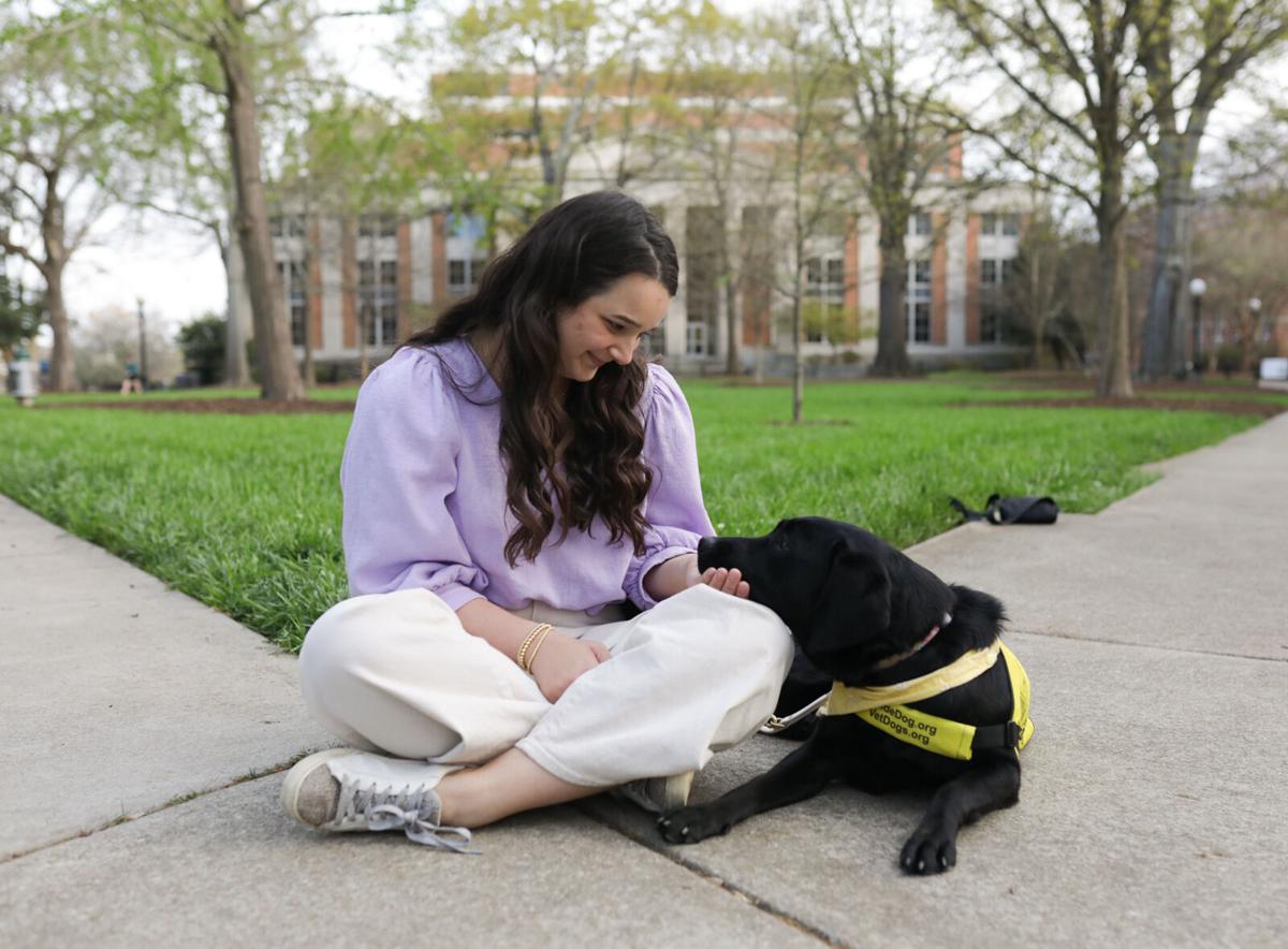 Dawgs Raising Dogs: Athens Area Puppy Raisers advocate for the Guide ...