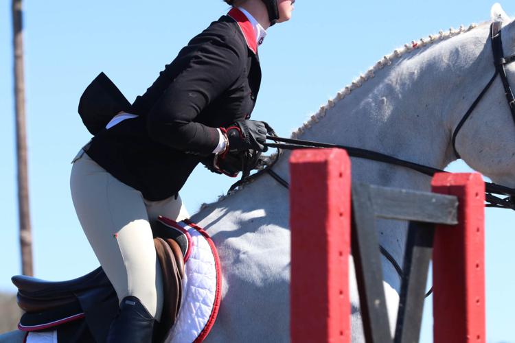 PHOTOS: UGA equestrian seniors compete in final regular-season home ...