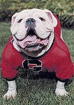 The History of Uga | News | redandblack.com