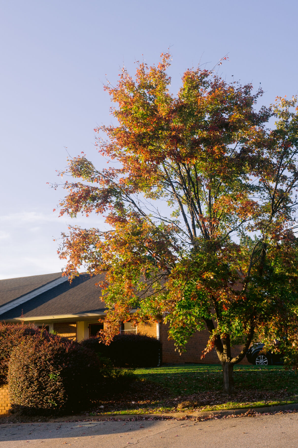 PHOTOS: Fall in Athens | Multimedia | redandblack.com