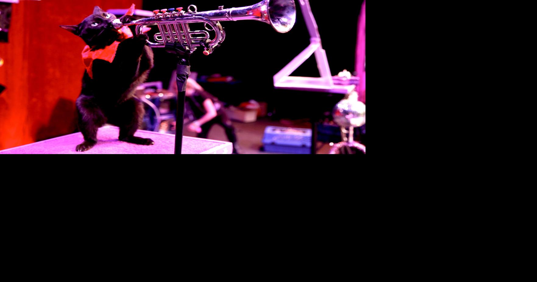 Acrobatic cats, trumpet playing felines to perform at the Morton ...