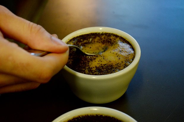 1000 Faces Coffee Cupping | Photo Galleries | redandblack.com