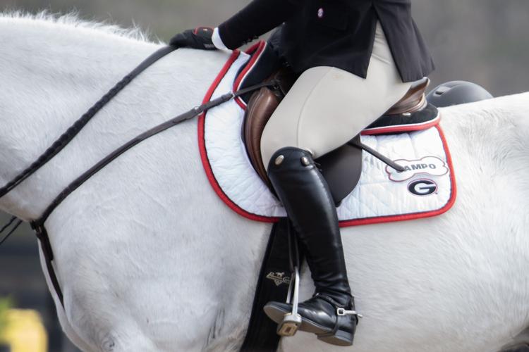 PHOTOS: Georgia equestrian dominates UT Martin 17-2 | Multimedia ...
