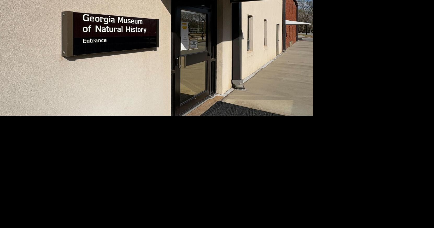 'A museum on the move': Georgia Museum of Natural History expanding to ...