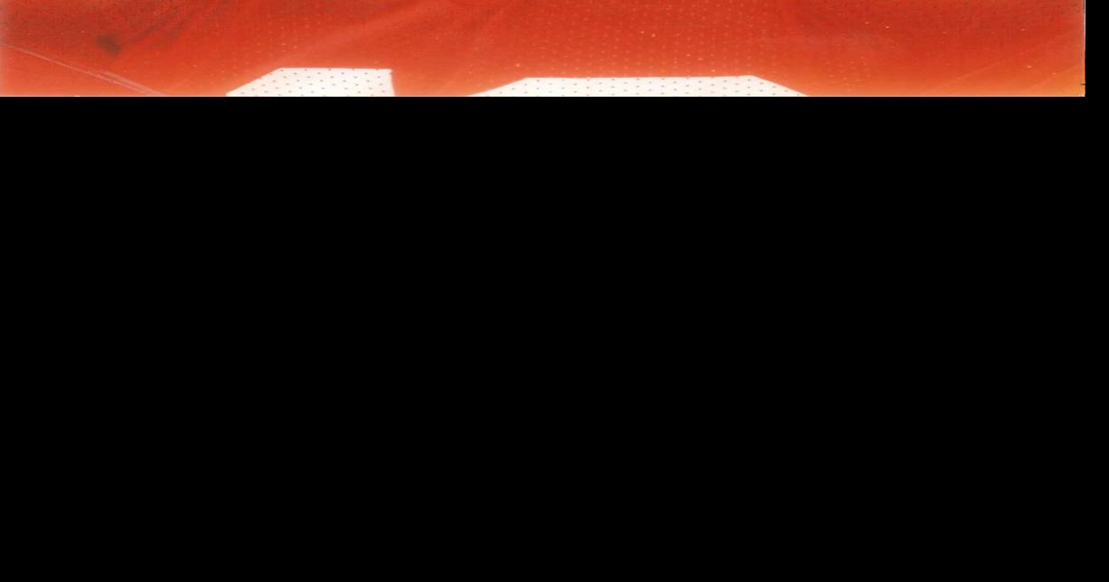 Former Georgia defensive back Scott Woerner elected to College Football ...