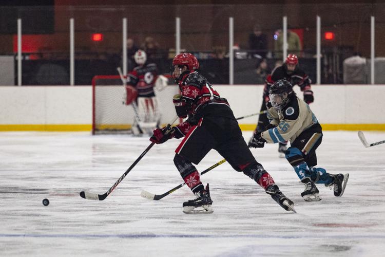 PHOTOS: Georgia Ice Dawgs beat Coastal Carolina 7-3 | Multimedia ...