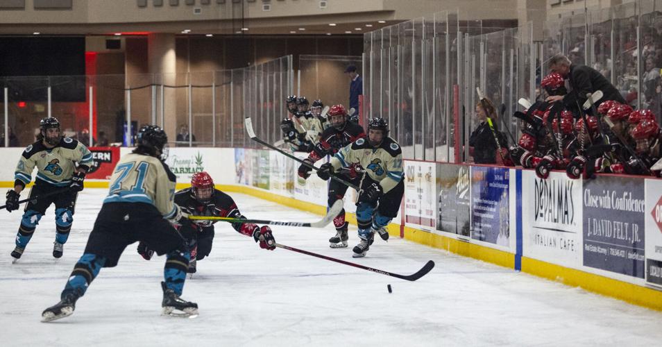 PHOTOS: Georgia Ice Dawgs beat Coastal Carolina 7-3 | Multimedia ...