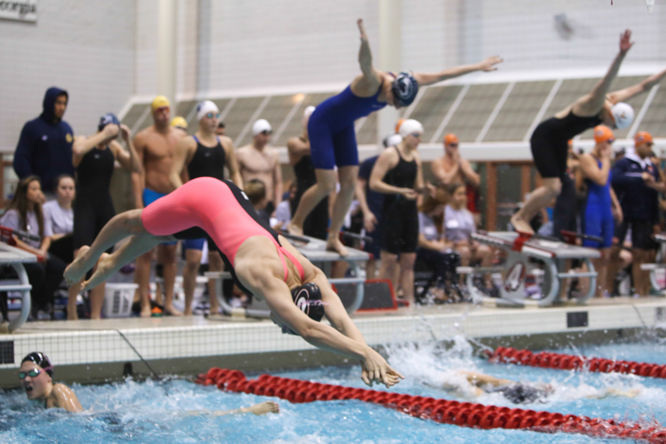 Georgia Swimming & Diving Fall Invitational Day One | Photo Galleries ...