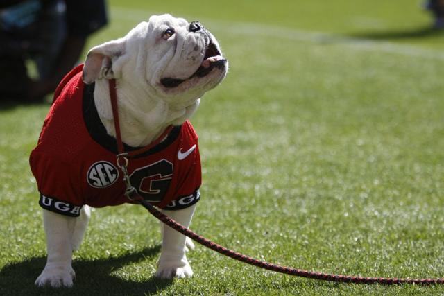 For three figures of famous 'Uga V bites at Auburn player' photo ...