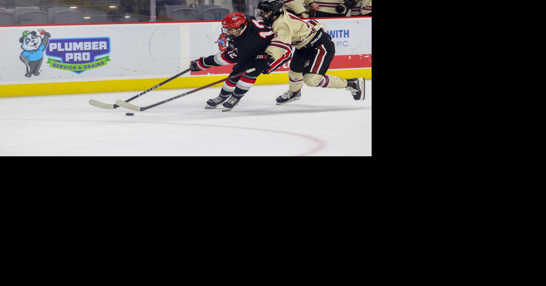 Senior-led top line set to guide Ice Dawgs into 2025 season | Georgia ...