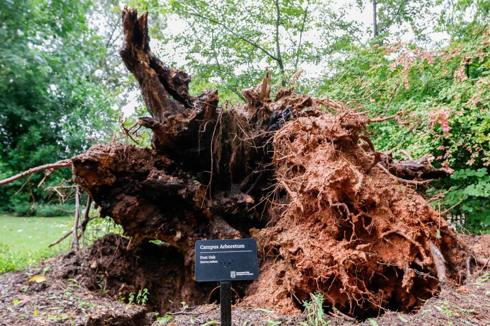 LIVE UPDATES: Here’s how Tropical Storm Helene impacted Athens | City ...