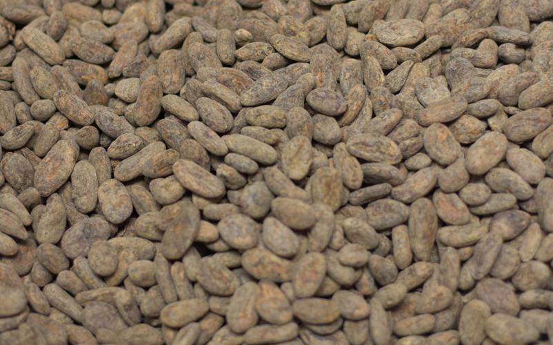 Photo Gallery: Condor Chocolates | Rbtv | redandblack.com