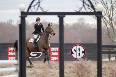Georgia equestrian seniors look to lead team to redemption | Georgia ...