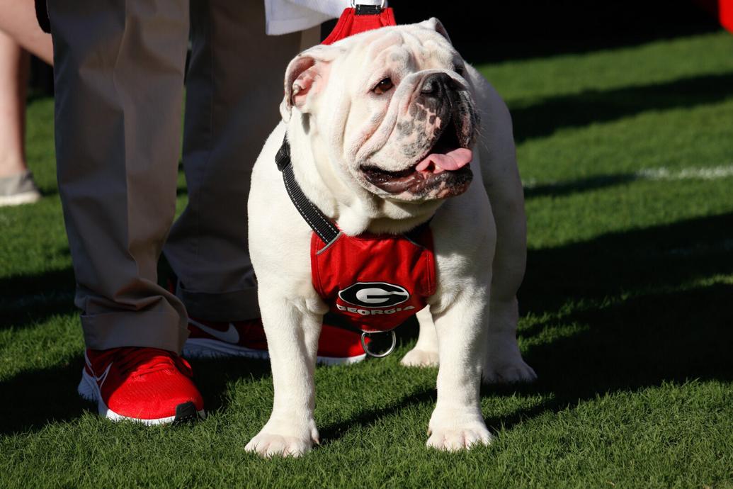 PHOTOS: Uga XI Boom's Game Day Debut | Multimedia | redandblack.com
