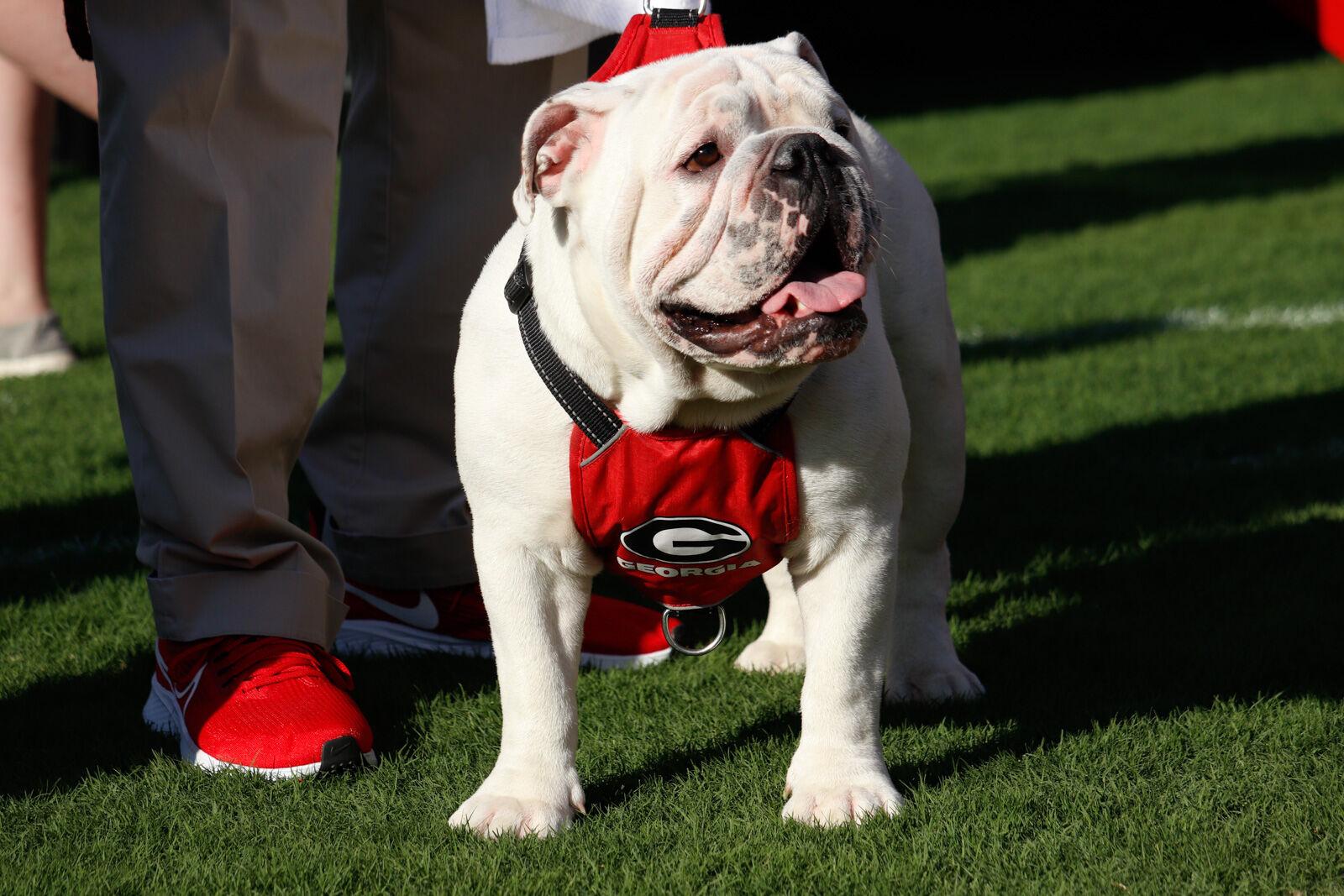 PHOTOS: Uga XI Boom's Game Day Debut | Multimedia | redandblack.com
