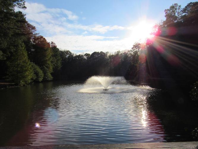 Parks and recreation: Find the best go-to outdoor spots in Athens ...