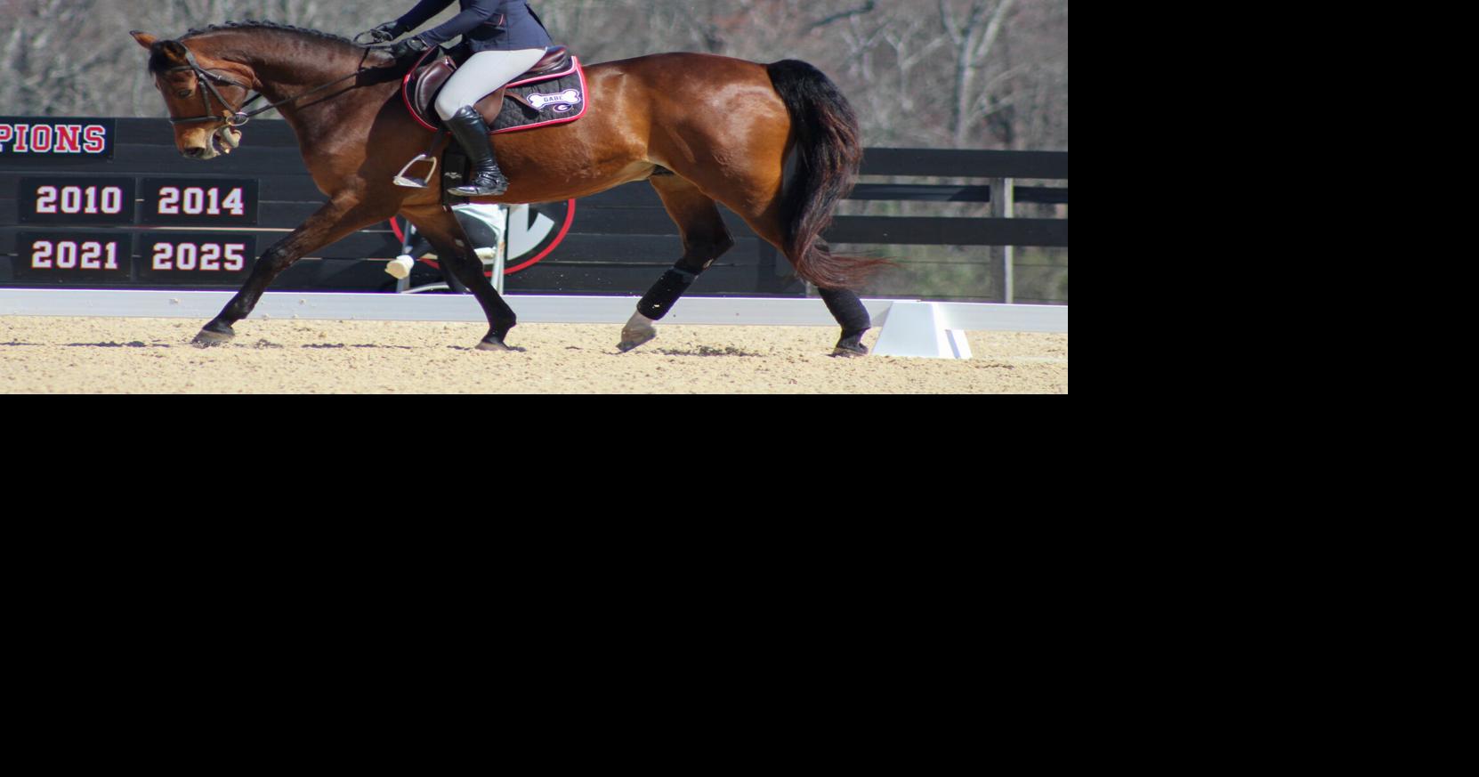 Georgia equestrian falls to Auburn at final regular season meet of the ...