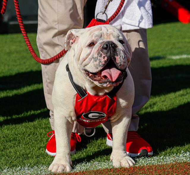 PHOTOS: Uga XI Boom's Game Day Debut | Multimedia | redandblack.com