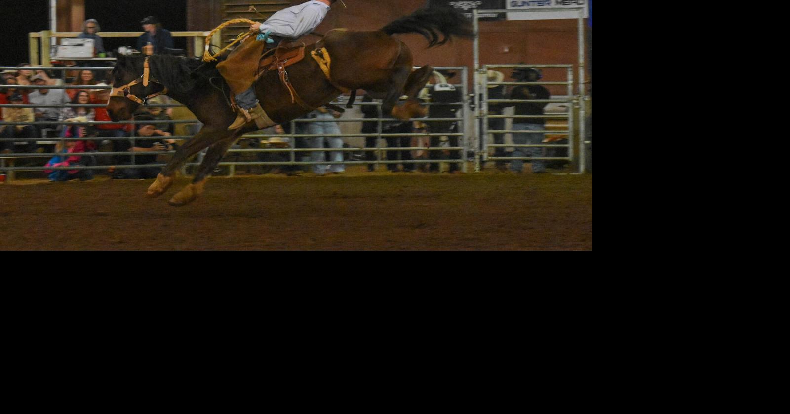 Student led rodeo brings Athens community together | Arts & Culture ...