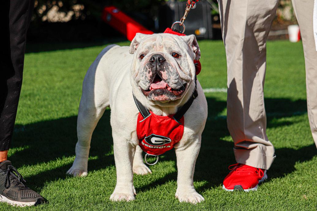 BEST OF: Uga XI Boom | Gameday | redandblack.com