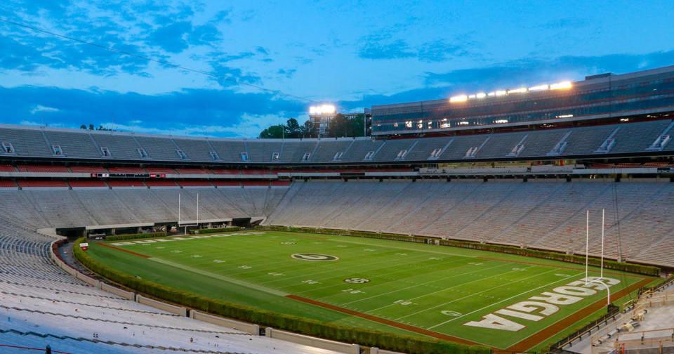 GUEST COLUMN: Replace the invasive Sanford hedges with a native one to ...