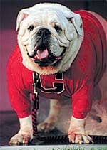 The History of Uga | News | redandblack.com