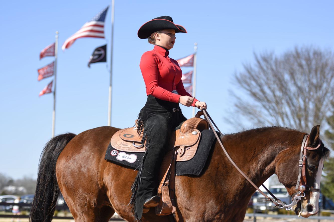 Georgia equestrian falls in national championship | Georgia Sports ...